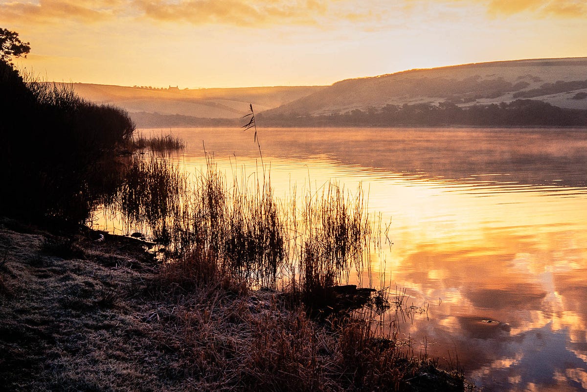 Unnatural landscapes. What is acceptable in a landscape… | by Steve Mansfield-Devine | CameraLux ...