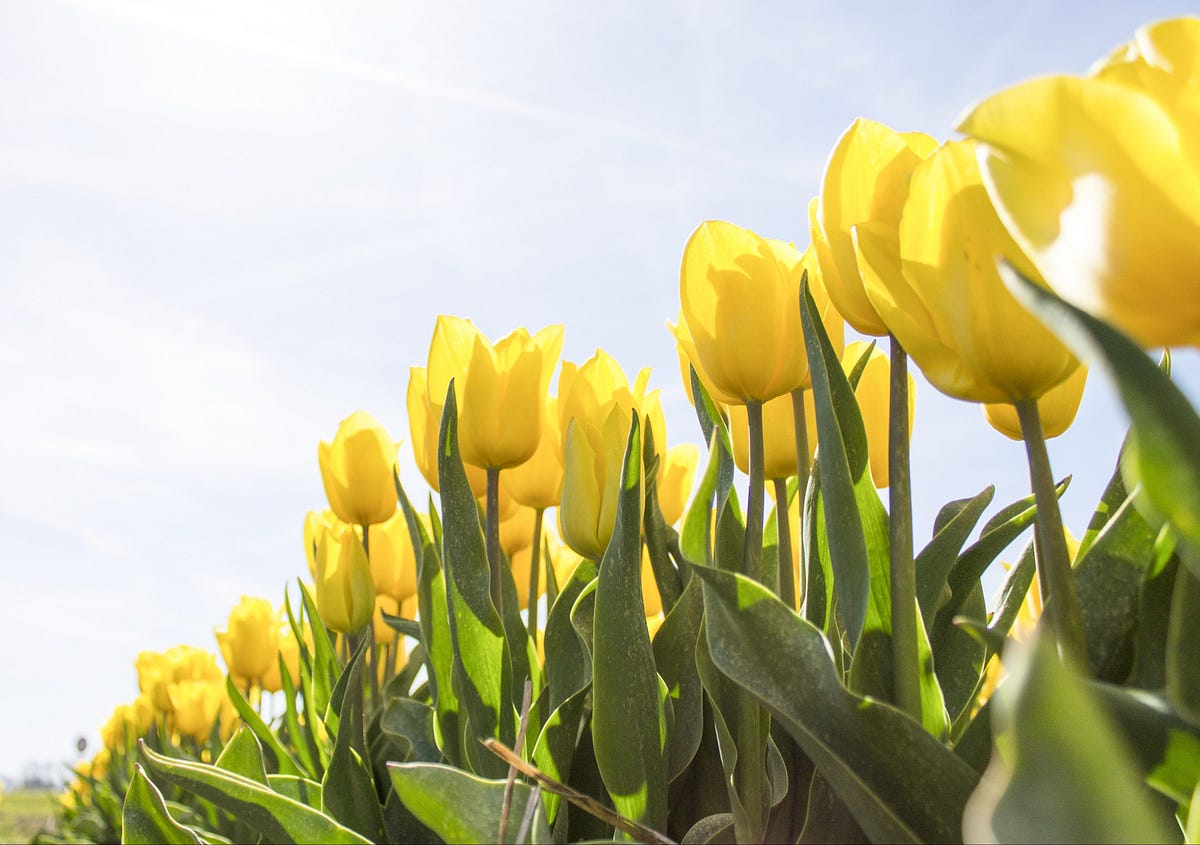 A change of season. When I opened my journal this morning I… | by ...