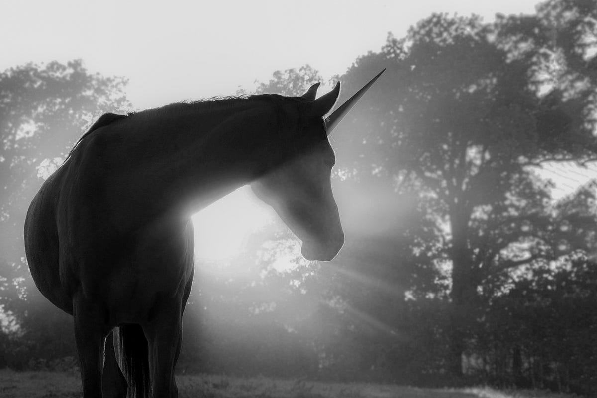 Should We Talk About The Sigma Nine Plus Unicorns? | by Jan Wellmann ...