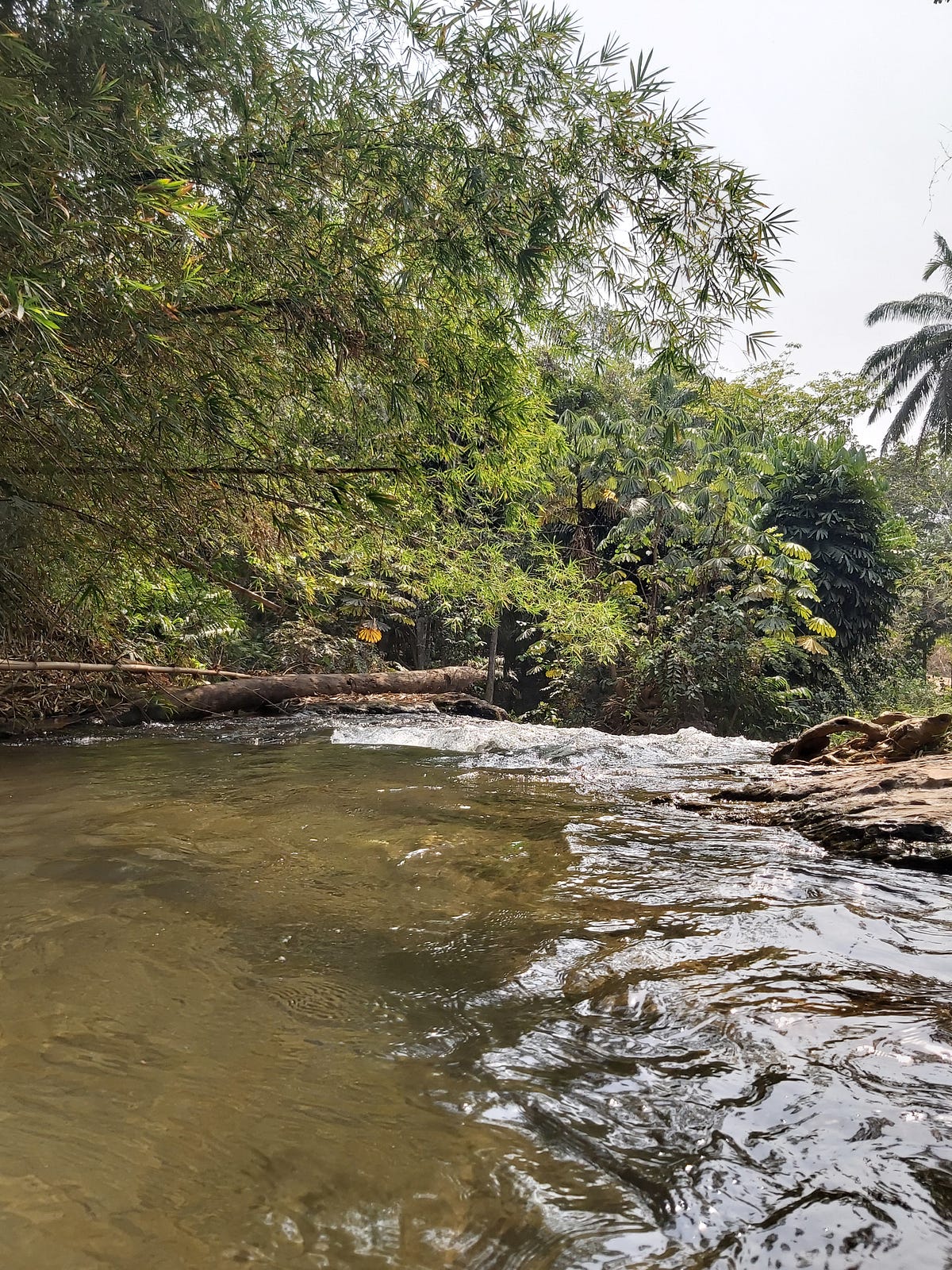 A trip to Ezeagu Tourist complex. I visited Ezeagu Tourist Complex last ...