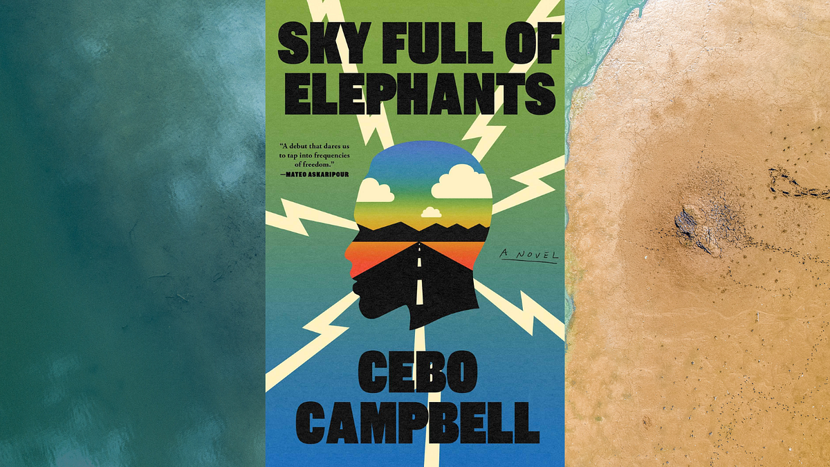 Black People, You Must Read ‘Sky Full of Elephants’ by Cebo Campbell ...