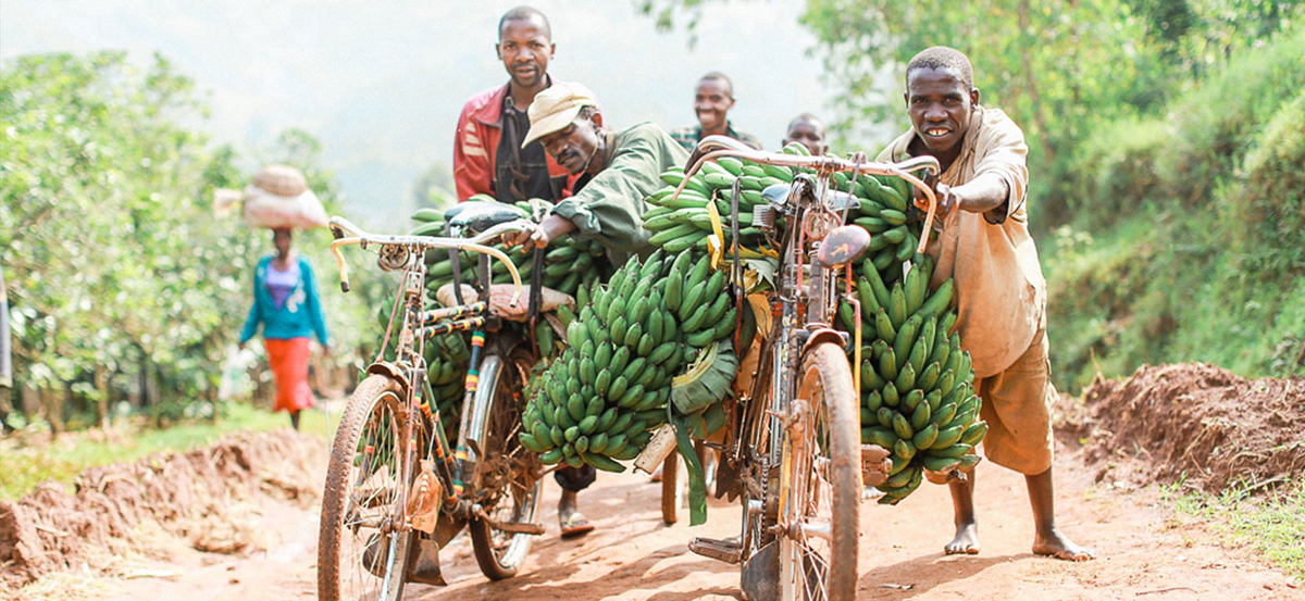 The Journey Of Coffee — IKAWA. IKAWA means coffee in Kirundi, which is ...