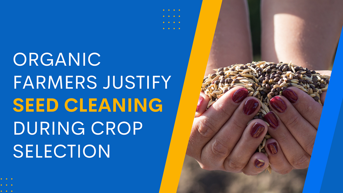 Why Do Organic Farmers Consider Seed Cleaning During Crop Selection ...