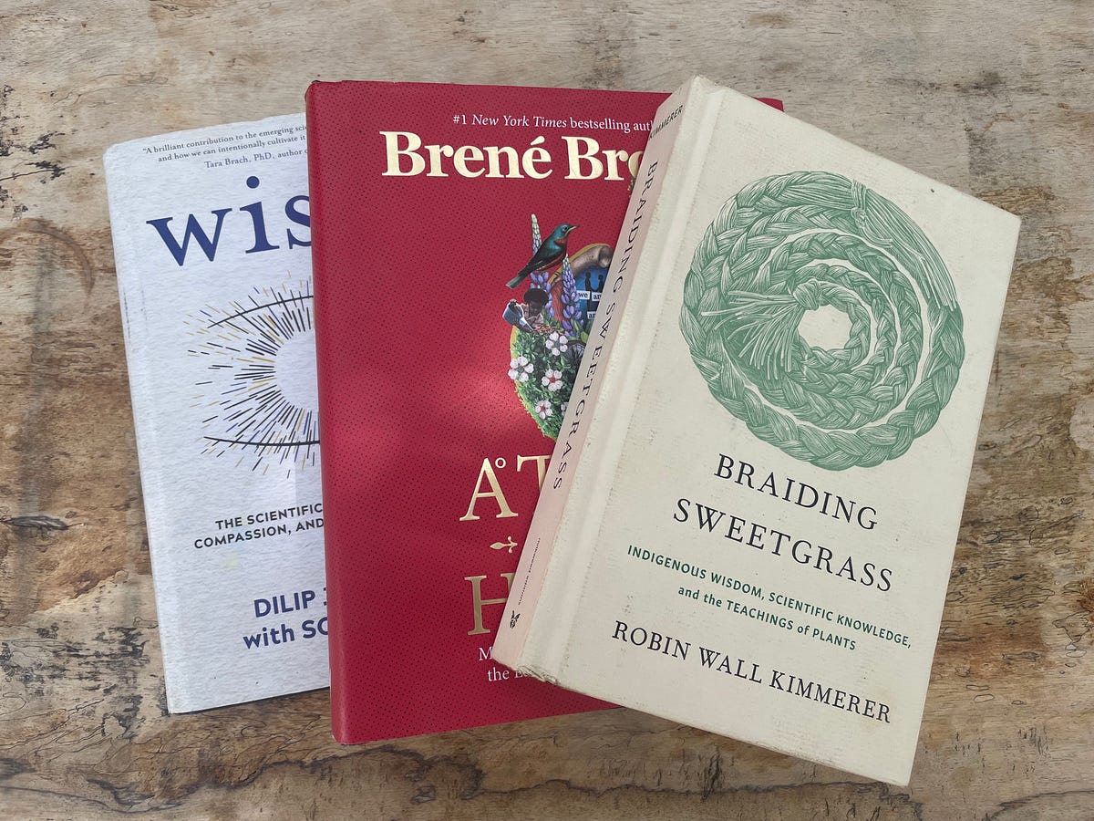 10 books on wisdom to elevate your mind | by Aranka van der Pol | Nov ...