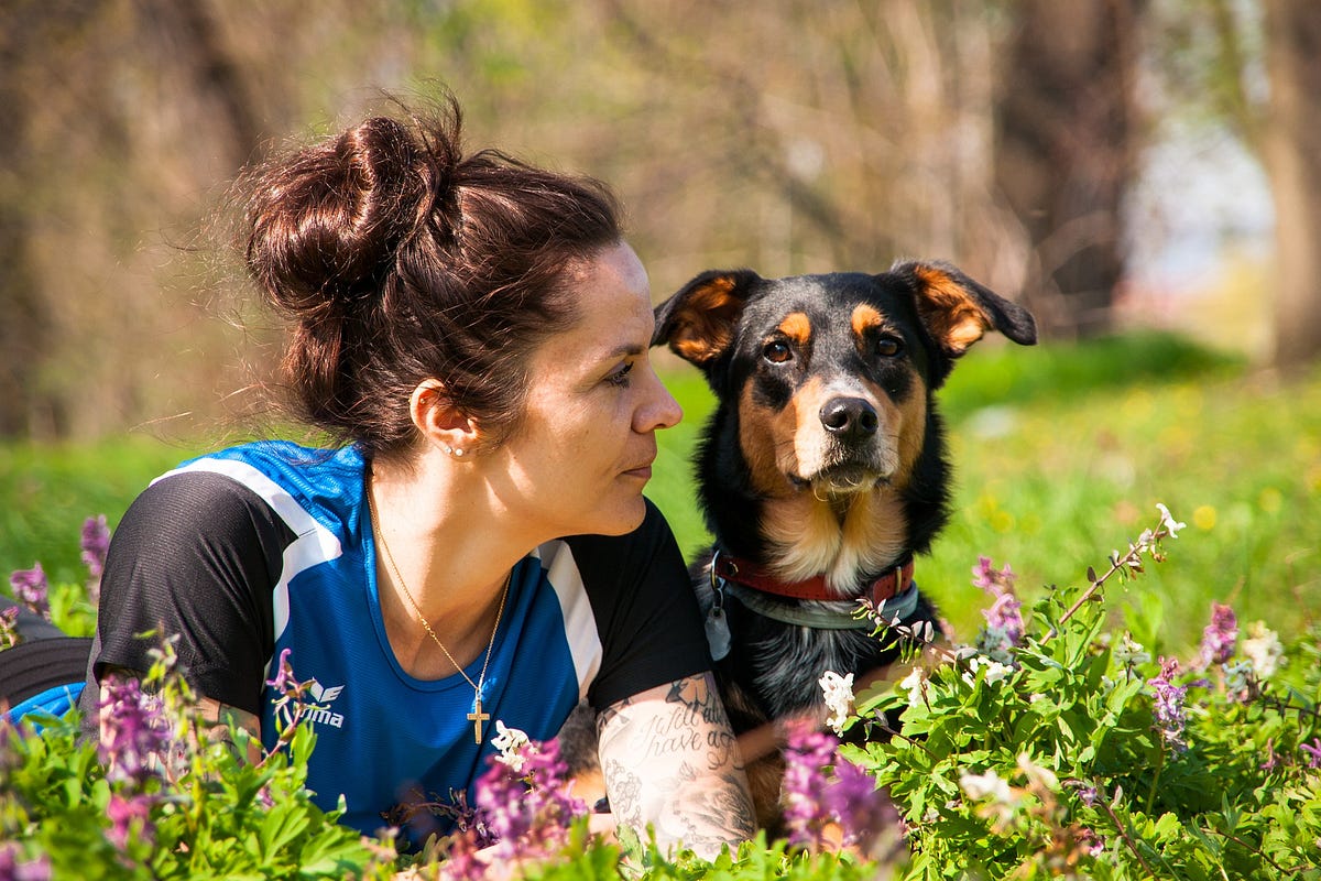 Why do people need pets?. What is the reason you need a pet? | by ...