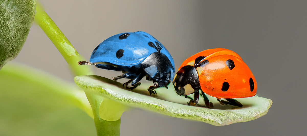 How to debug TypeScript with VS Code | by Philipp Kief | Medium