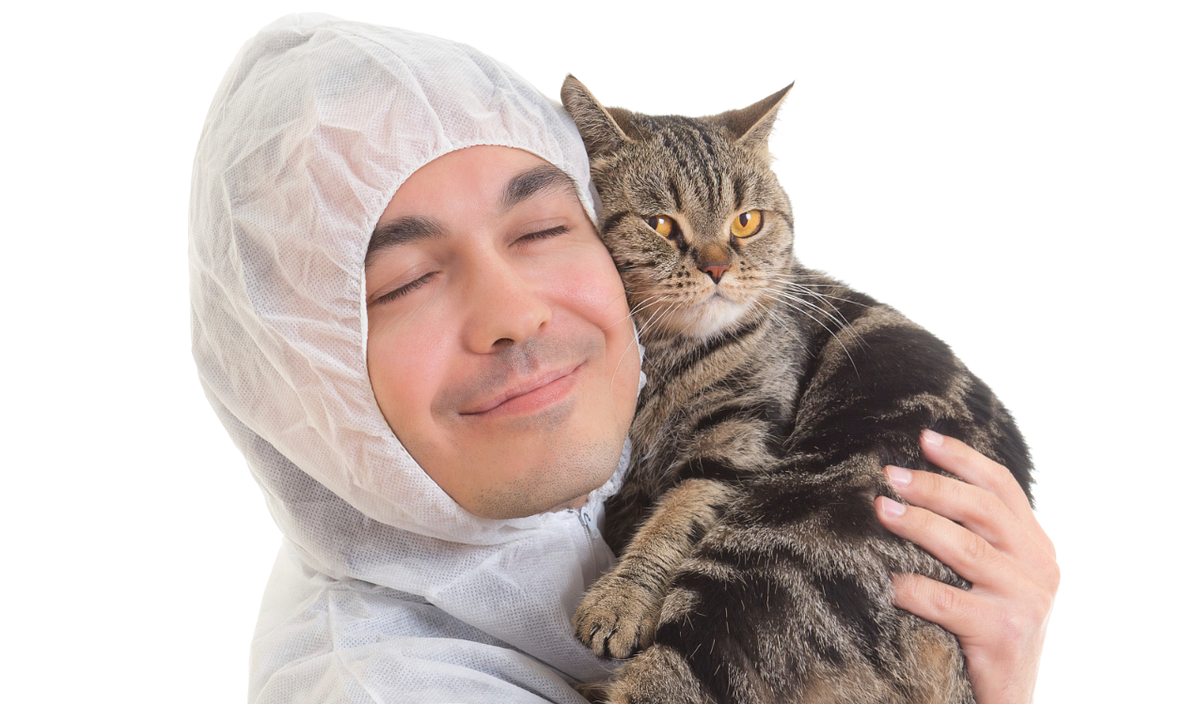 Waterproof Cat Man. Questionable Stock Photos | by @leslienuccio | On ...