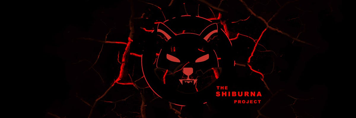 Our Projects. Shiba Casino, Shiba Shop and many more… | by The Shiburna ...