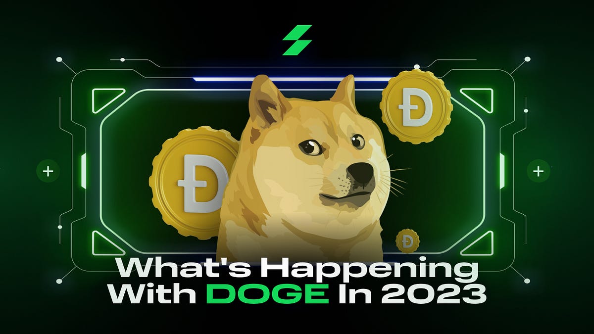 What’s happening with DOGE in 2023 🐶 | by NikitaN | StormGain_crypto ...