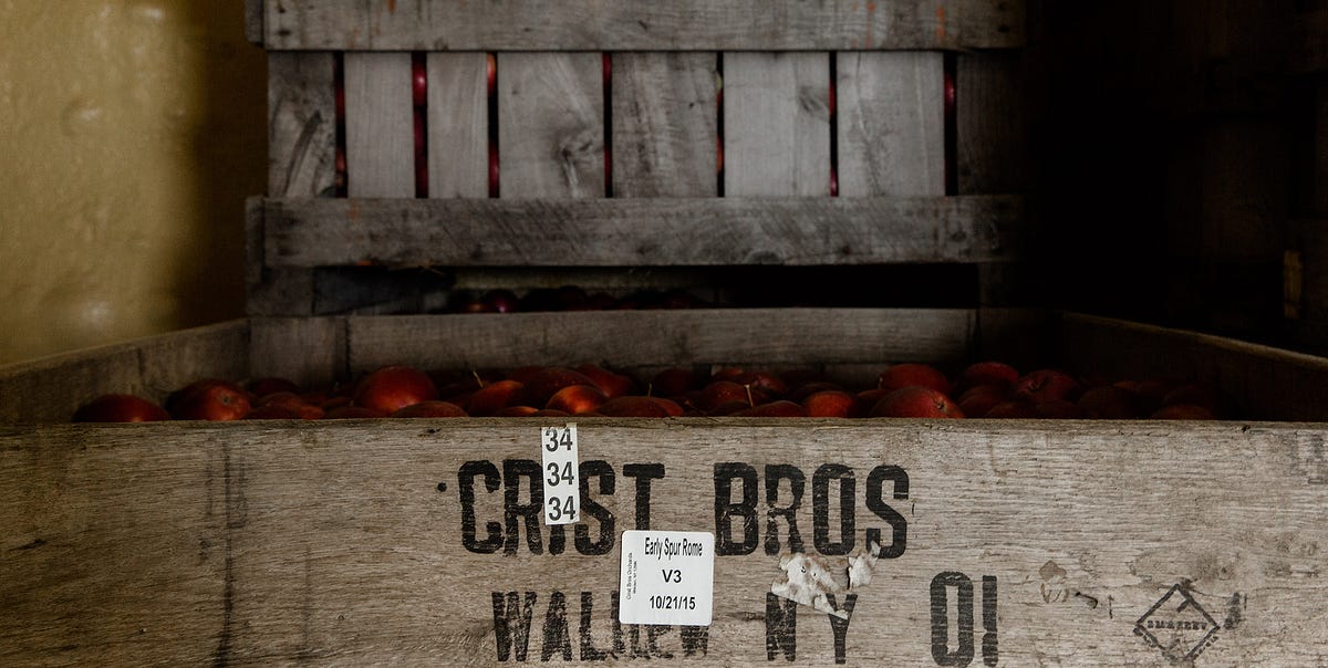 A Year in the Life of a Cidery. February: Cold Storage | by Angry ...