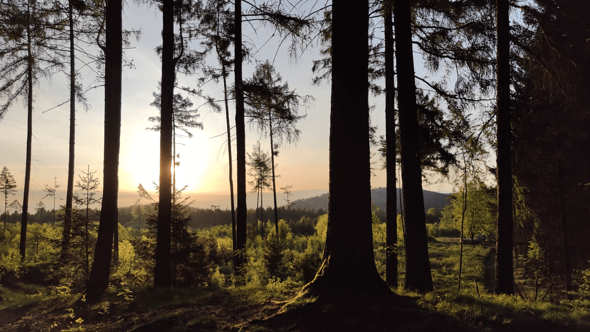 The Complete Blueprint for a DIY Ultramarathon Training Camp | by ...