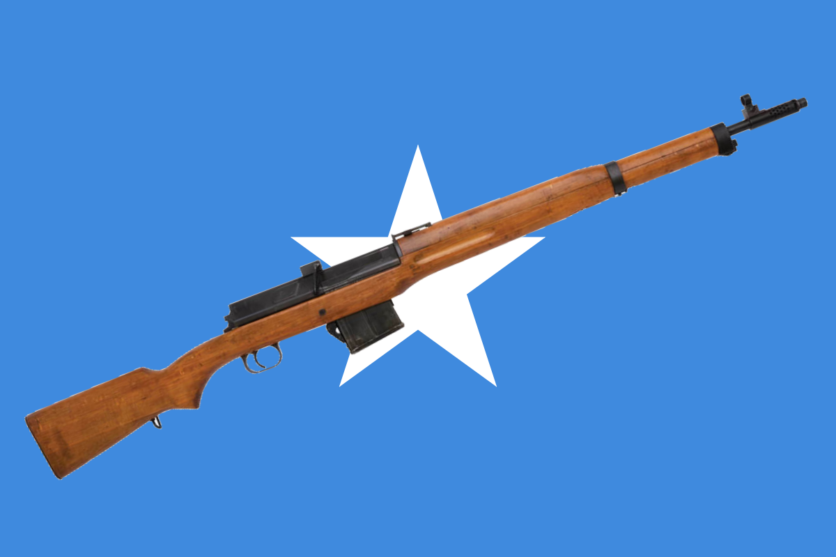The Hakim Rifle in Somali Service: A Forgotten History | by SilahReborn ...