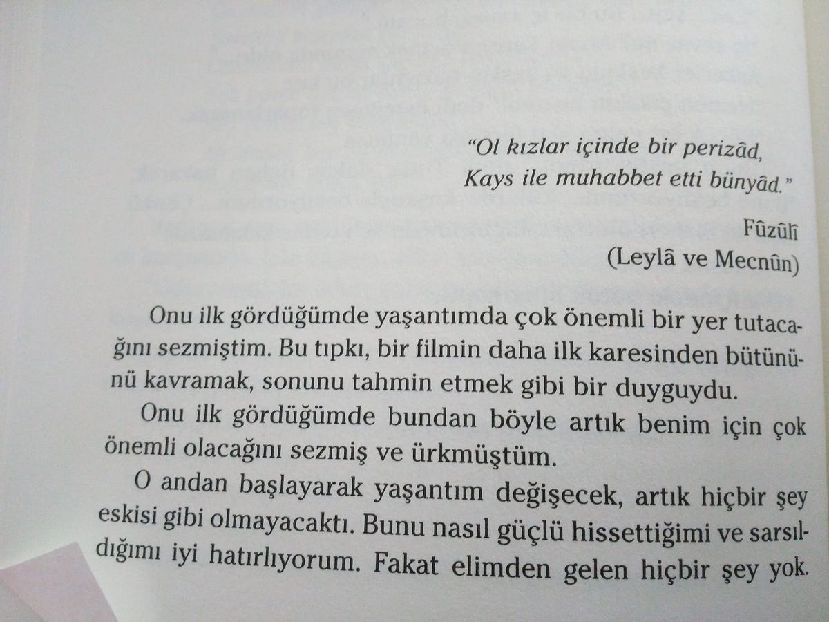 Kumral Ada Mavi Tuna. Buraya ara ara Yapay Zeka, Unicorn… | by Fatih ...