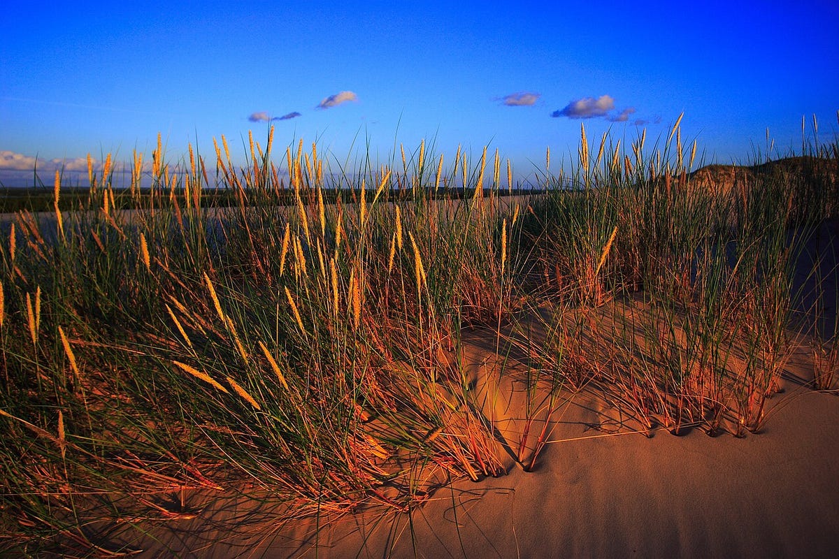 Learning how to swim in the quicksand of depression | by Ryan Boger ...