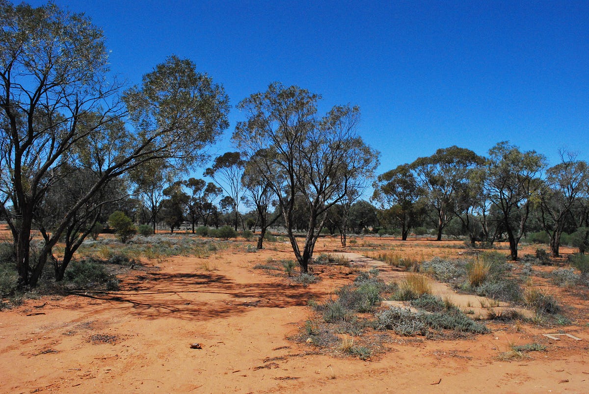 How Safe is Australia. From a perspective of an (outdoors… | by Janin ...