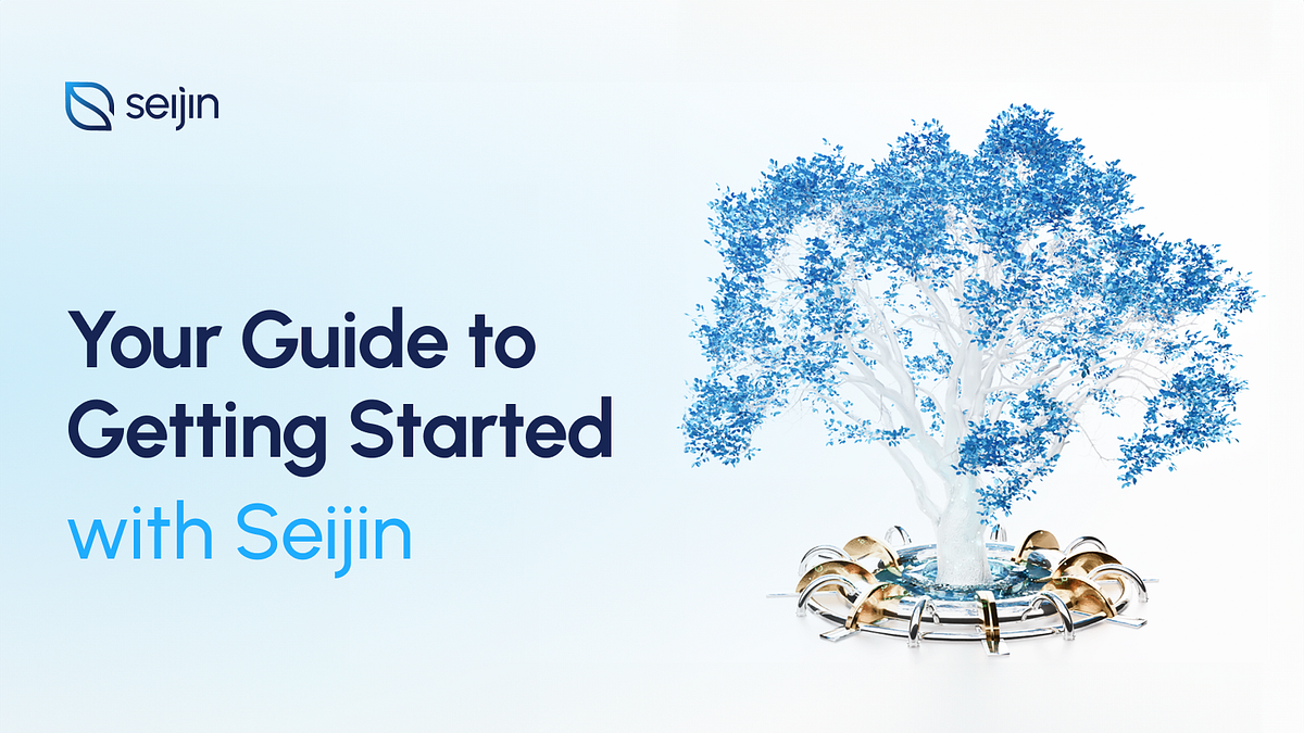 Your Guide to Getting Started with Seijin | by Seijin | Medium