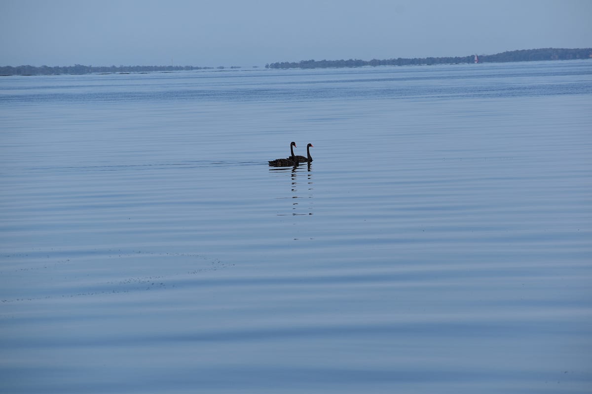The calmness of water can do wonders — A must visit place in Victoria ...