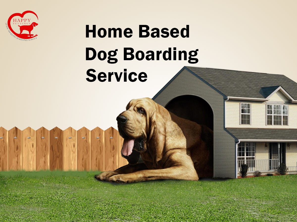 When do you need a dog boarding service? | by Happy Pettings | Medium