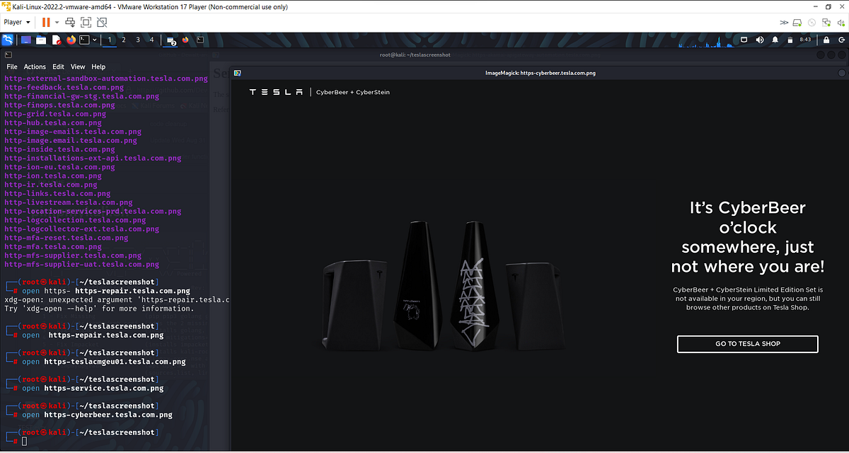 Go Witness Install Guide…. Welcome Back Psychomong People | by ...