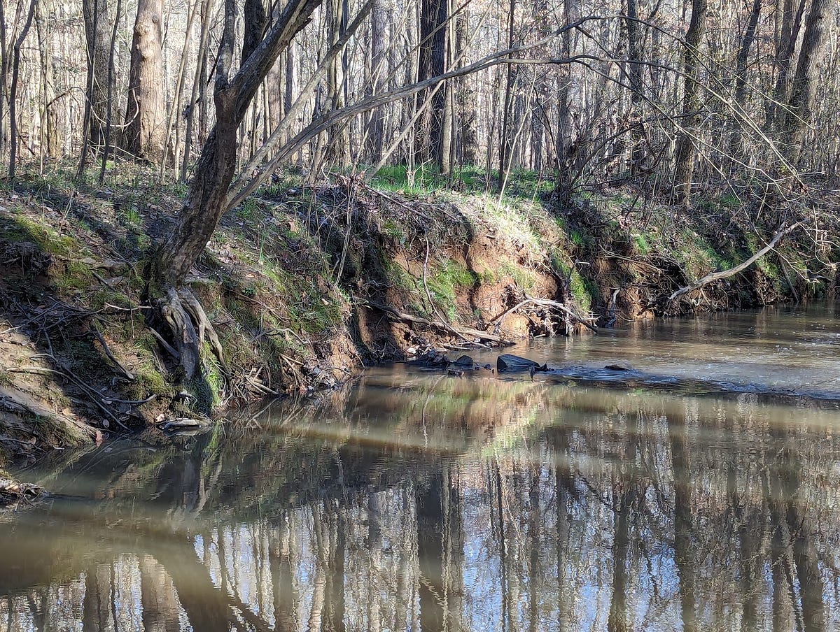 The Healing Power of Nature. In class this past week, we’ve talked ...