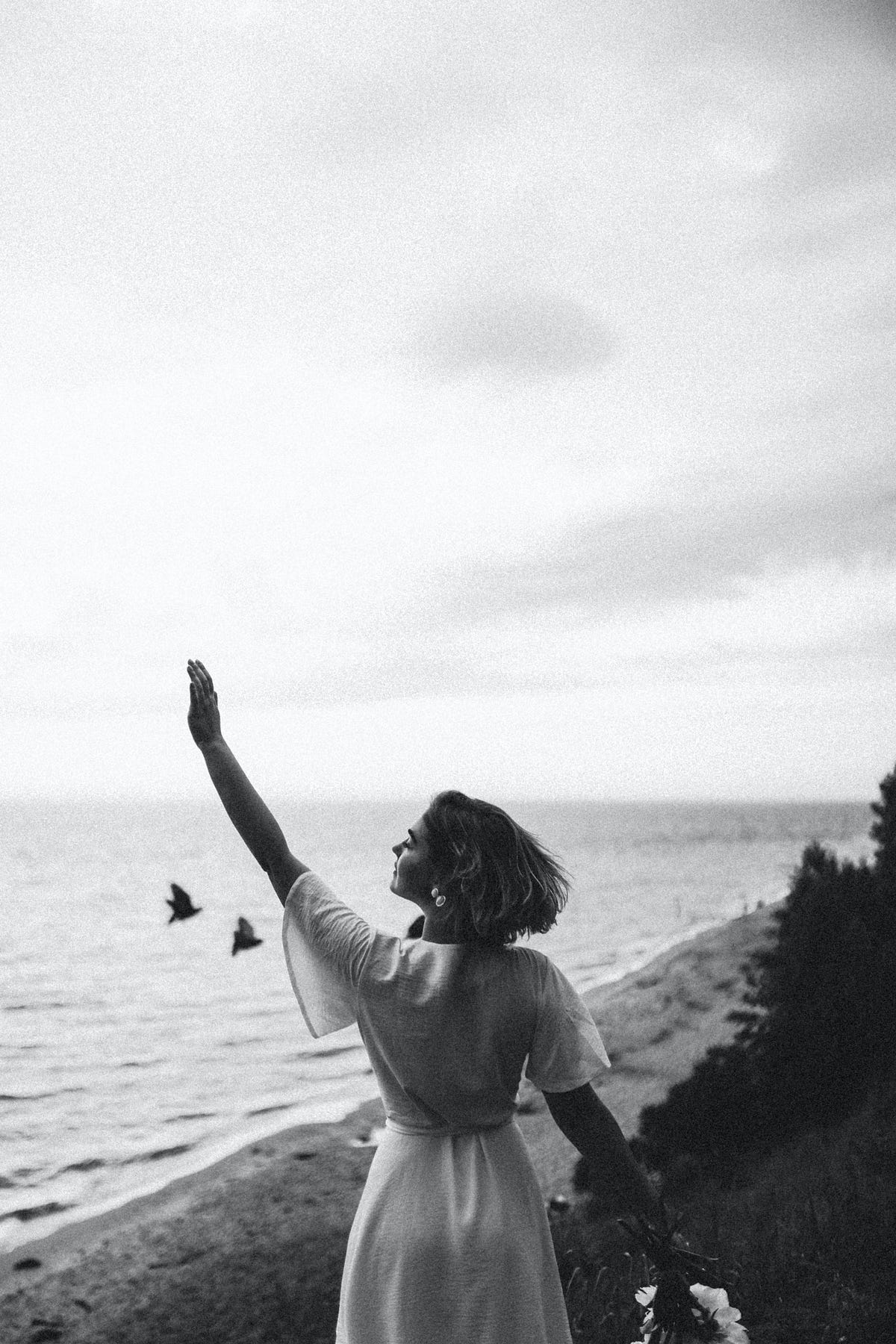 “With Brave Wings She Flies.” A poem. Higher and higher she soars, To ...