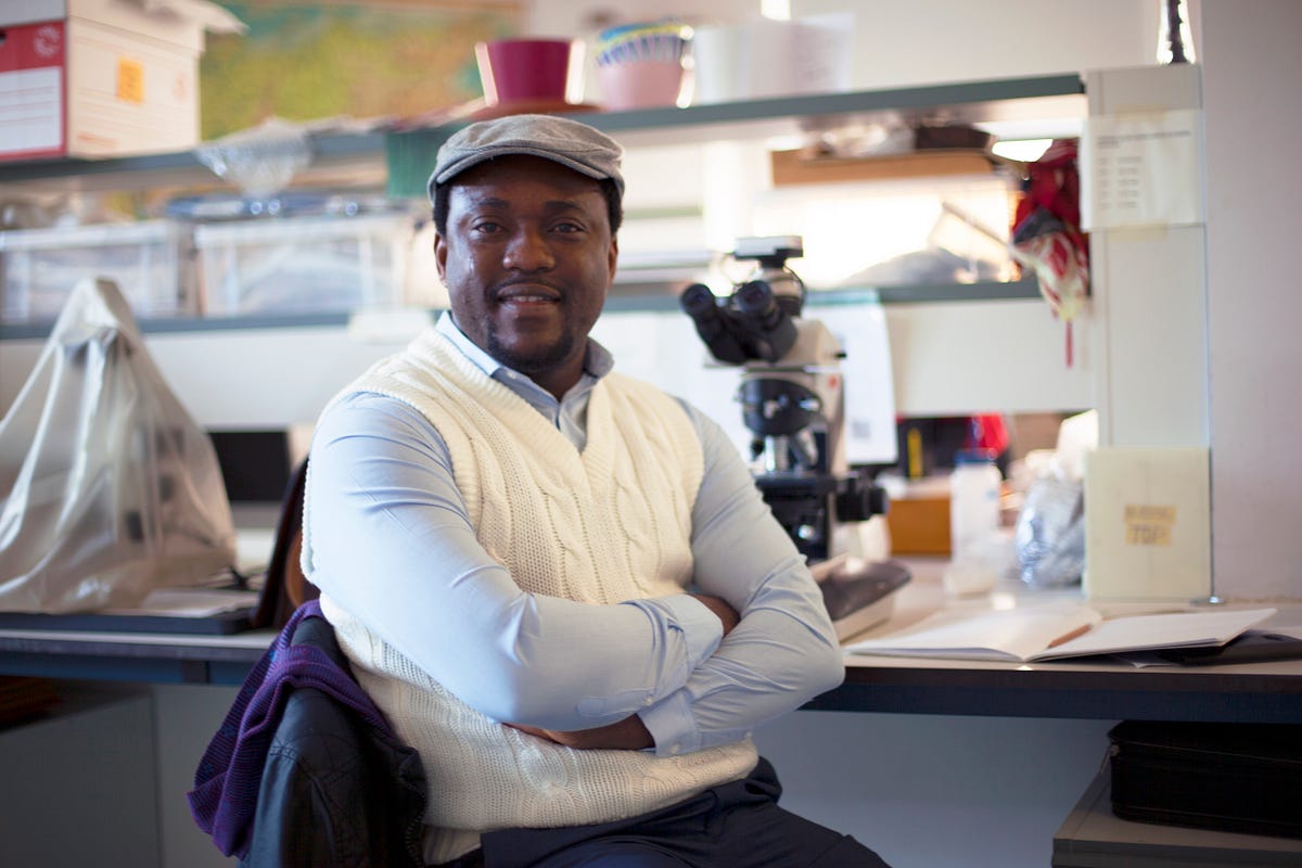 The Nigerian archaeologist investigating ancient farming in West Africa ...