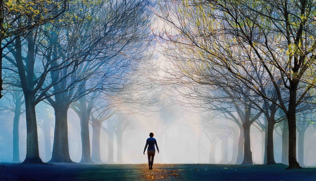 Finding Inner Peace Through Nature’s Quiet Moments - Printique studios ...