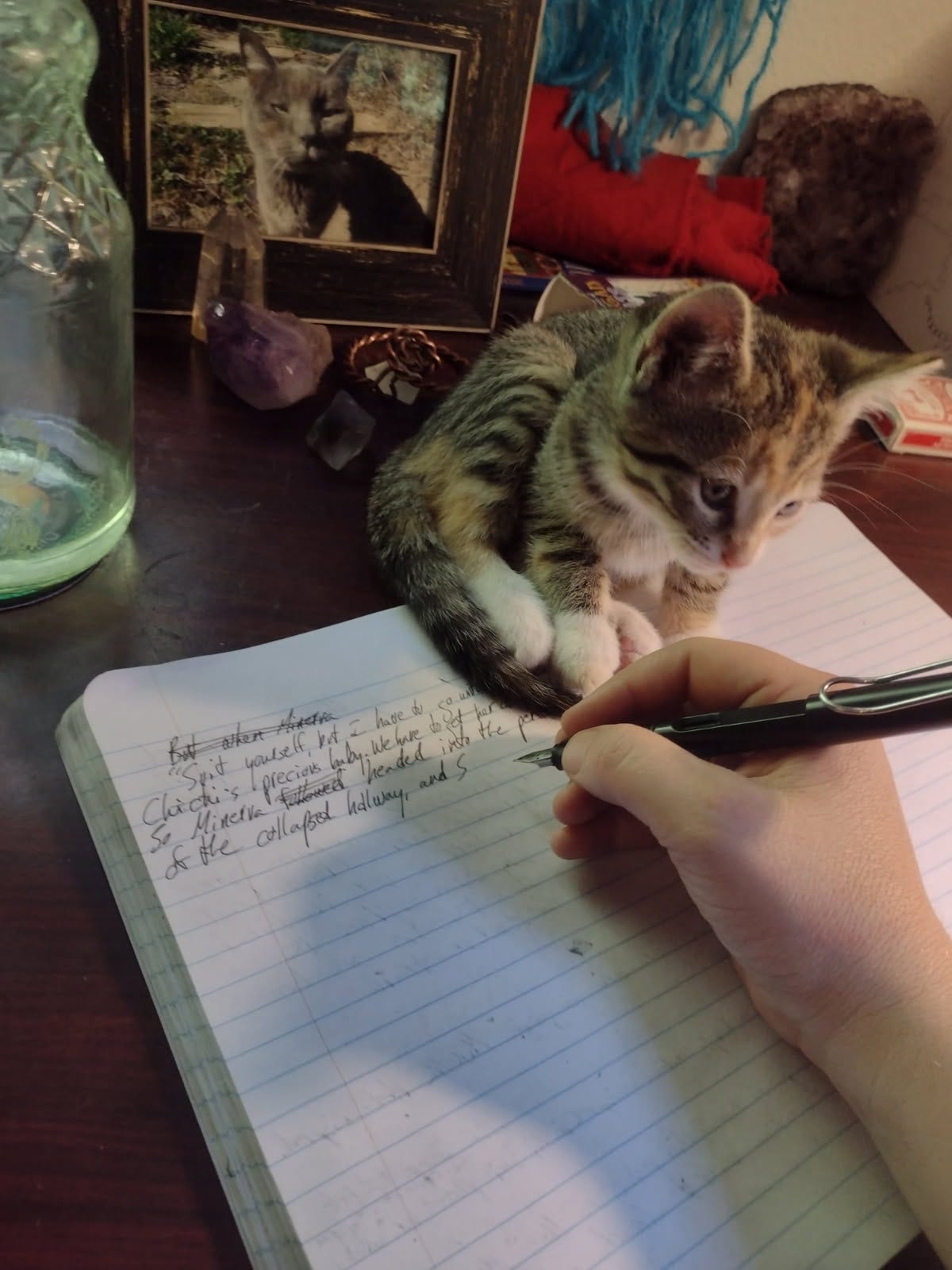 Inky, Rhythmic, Joyful: Writing Novels by Hand | by Hilde Festerling ...