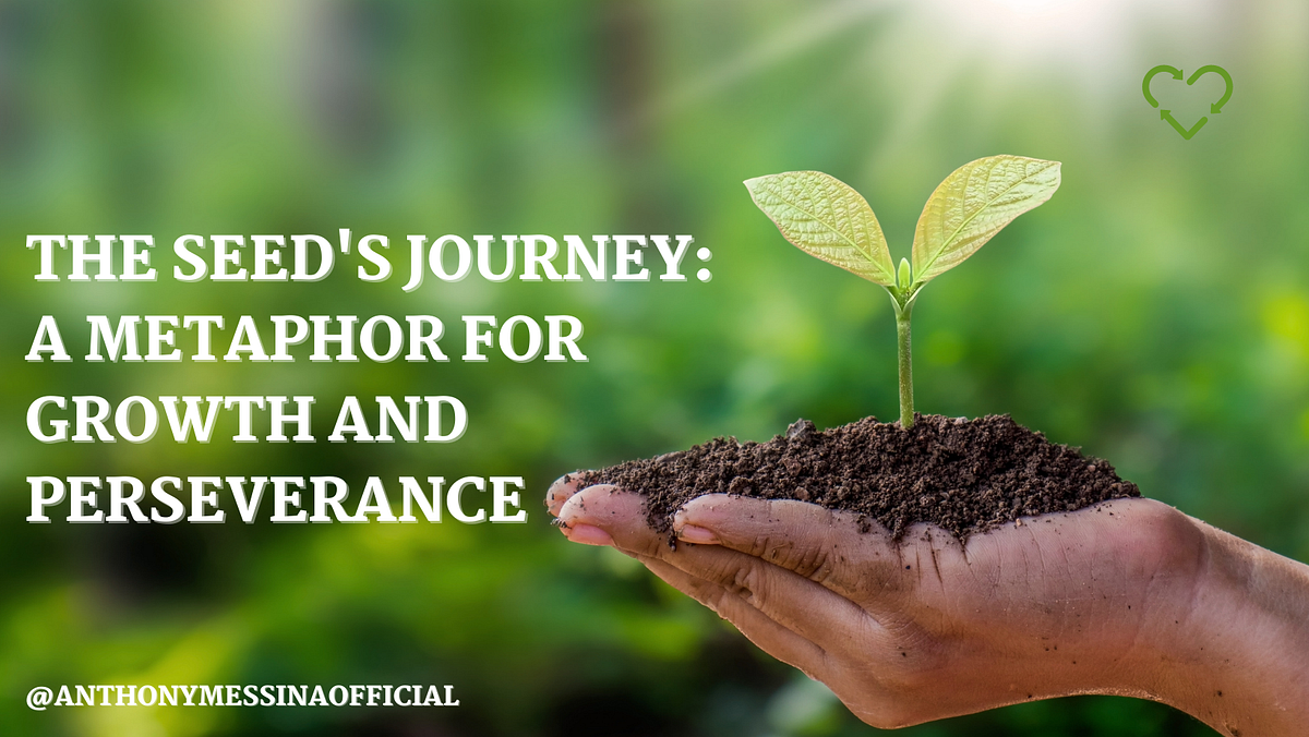 The Seed’s Journey: A Metaphor for Growth and Perseverance | by Anthony ...