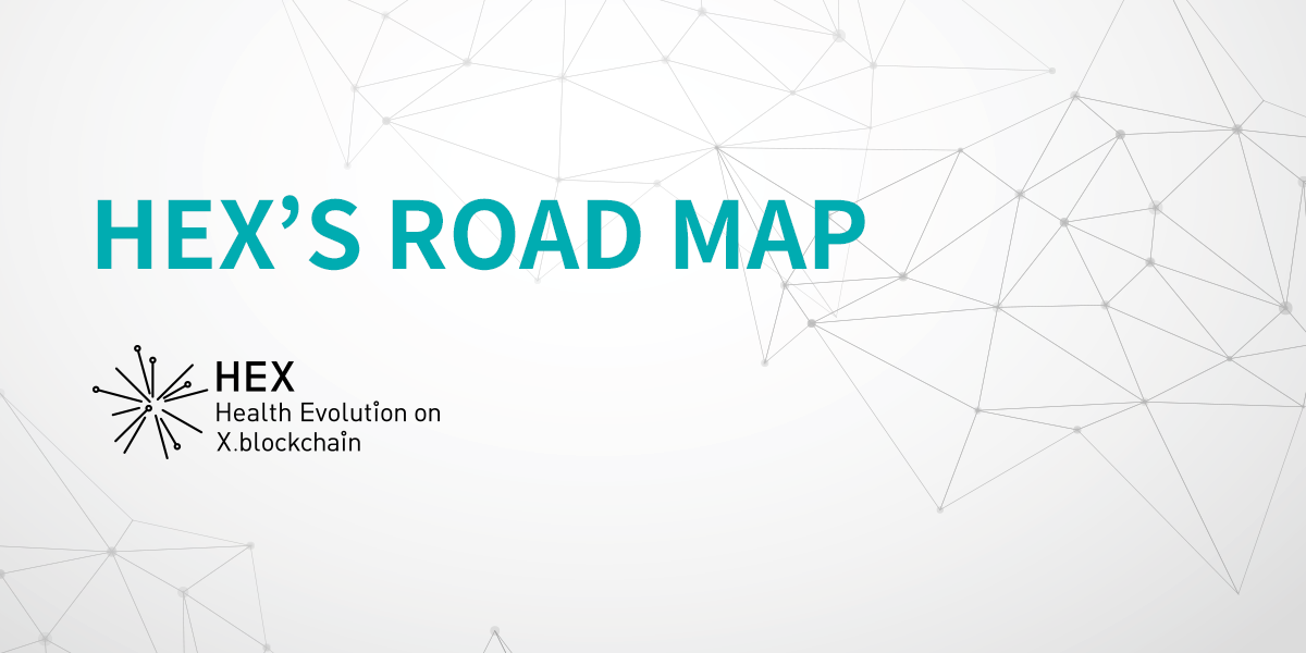 [Inside HEX] HEX’s road map. We introduce a blueprint of HEX that… | by ...