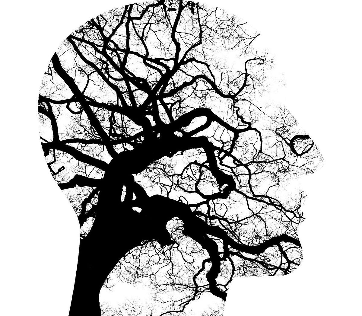 Know Yourself — the Persona, the Shadow and the Anima/Animus Inside You ...