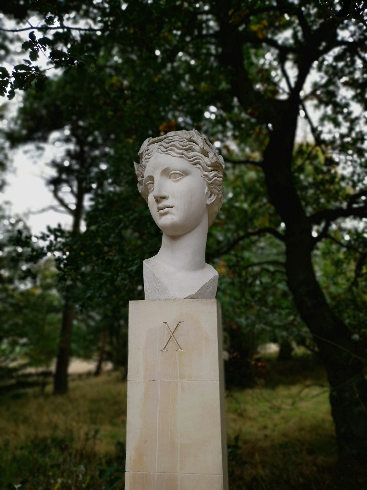 Jupiter Art Land(1). Jupiter Art Land is a place where a lot… | by ...
