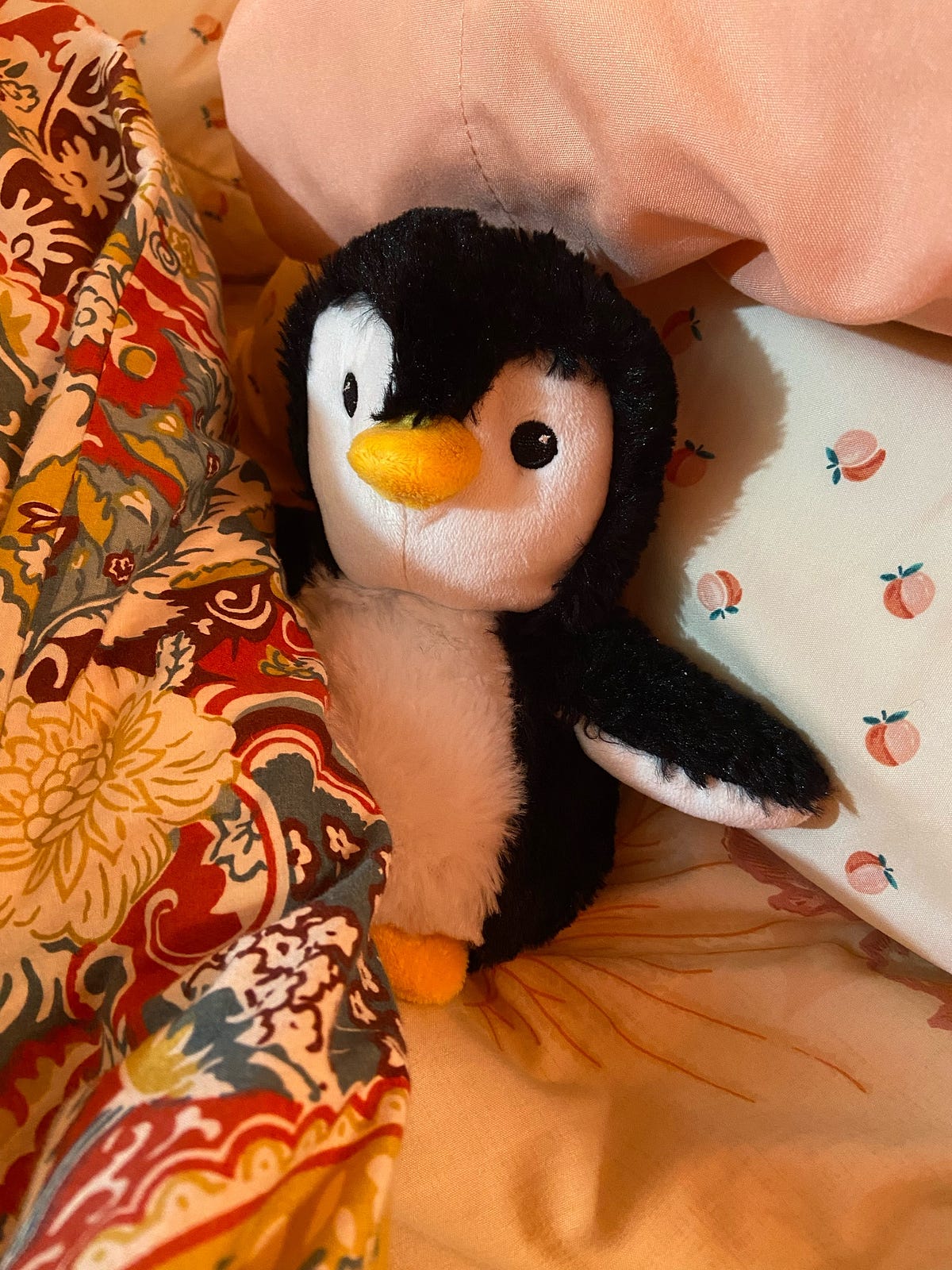 The comfort of loving. The love we walk around with. | by Susi Lawson | Jan, 2025 | Medium