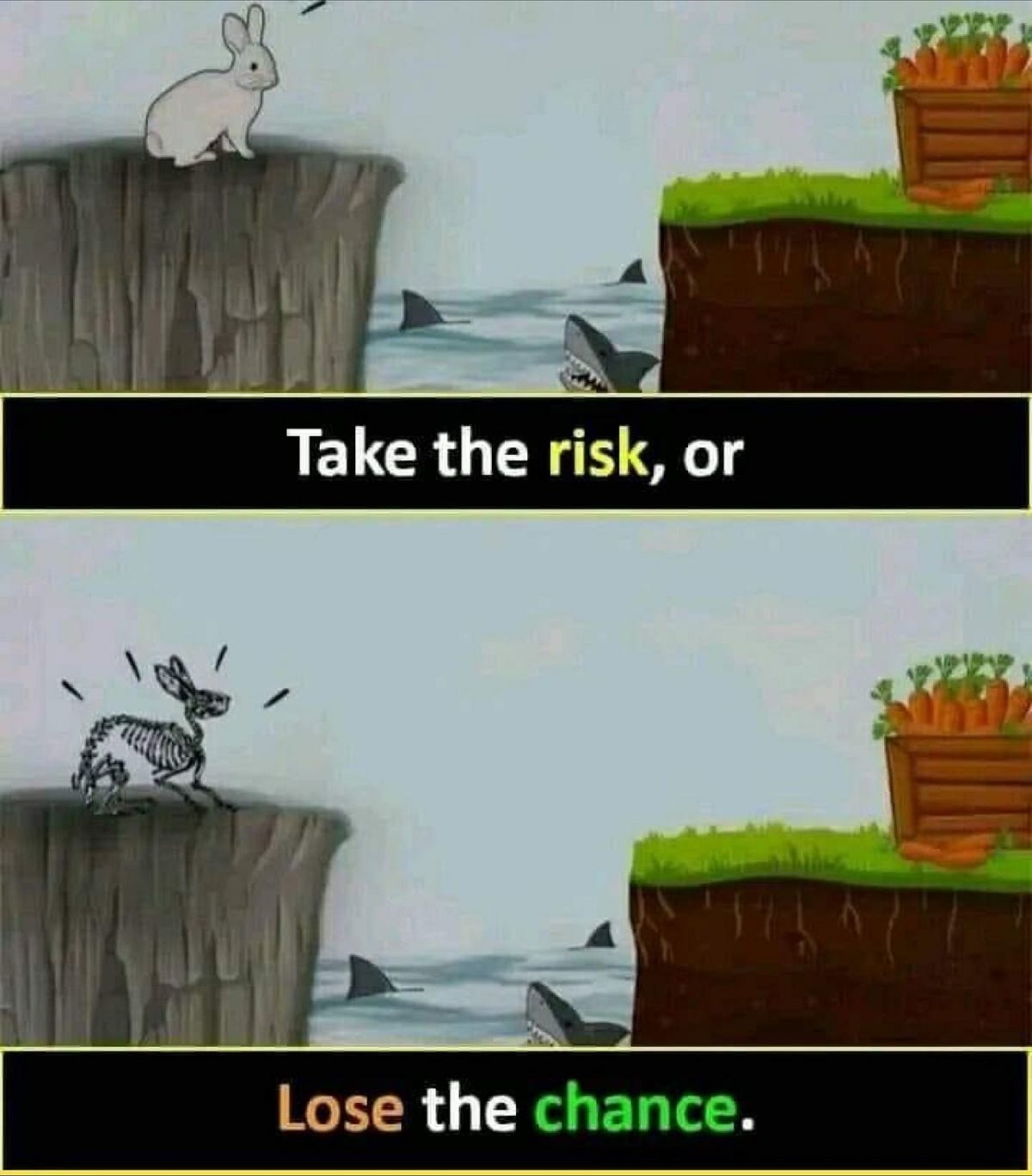 “Take the risk or lose the chance” is a motivational quote that ...