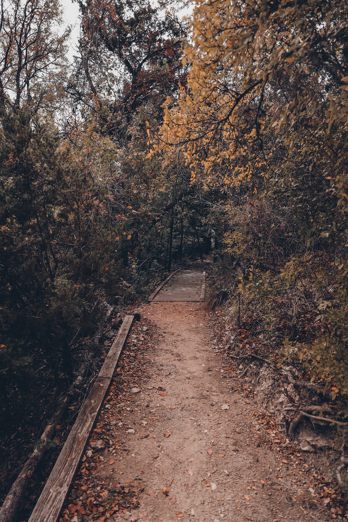 Exercising and Training: Running With No Goal | by Samuel Rather ...