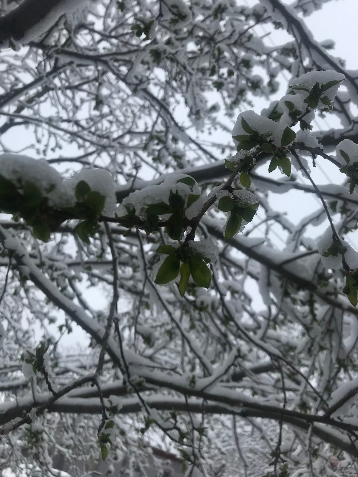 Breathing Love. Yesterday was the first day of Spring… | by Sarah ...