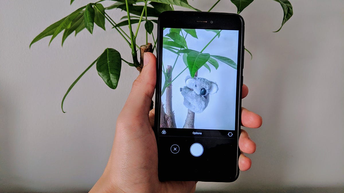 How to Open the Native Camera in Mobile Browsers | by Jakub Kozak | Medium