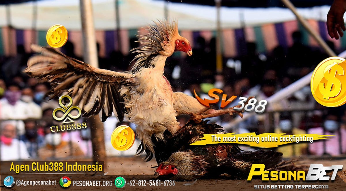 APLIKASI CLUB388. Download Aplikasi Club388 Sabung Ayam… | by PESONABET ...