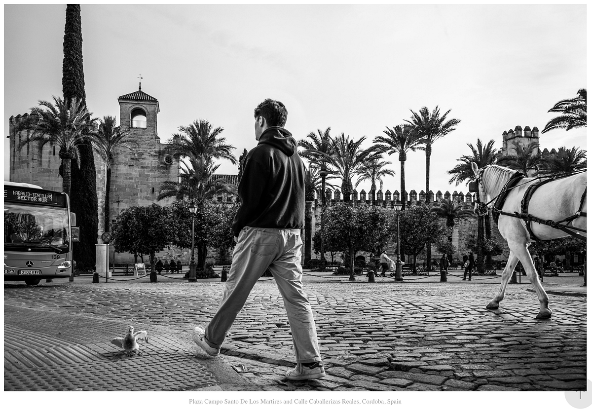Gallerux: Interview with Photographer and Metaverse Art Professor ...
