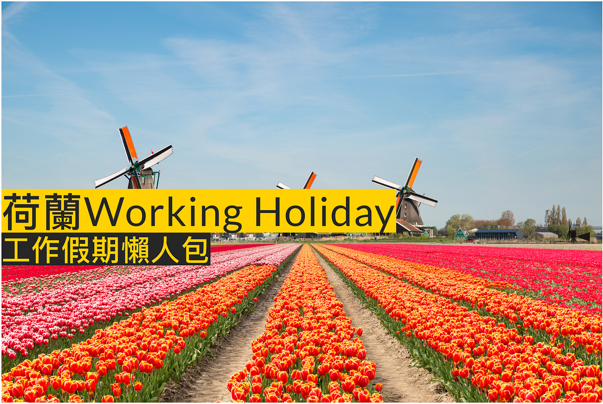 【2020工作假期攻略】荷蘭Working Holiday簽證、住宿、打工懶人包！ | by imSure Hong Kong | Medium