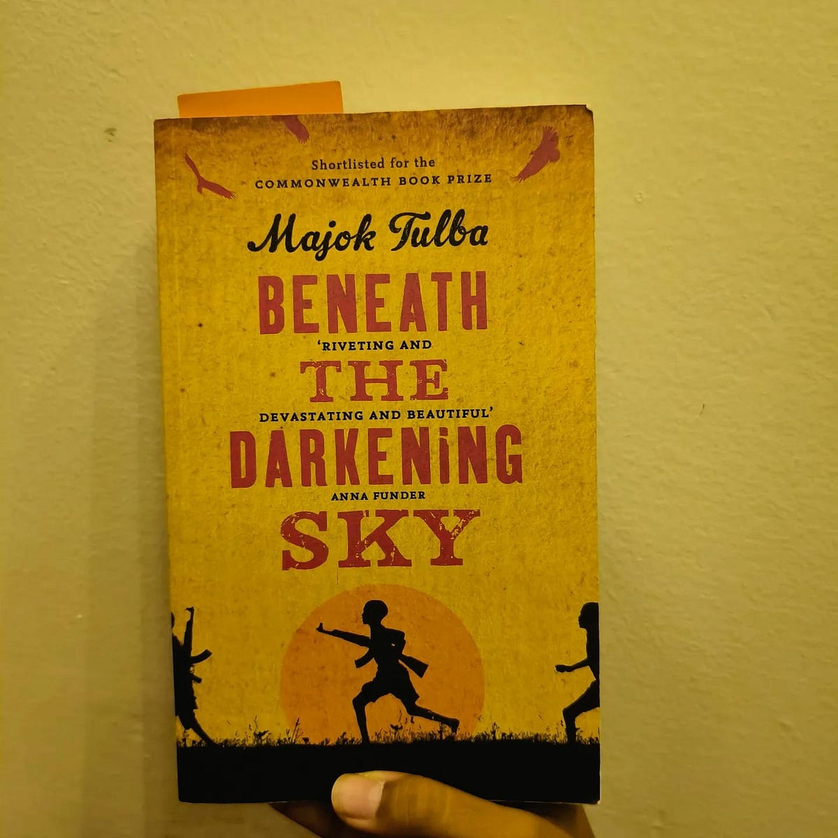 Beneath The Darkening Sky. This book is a heavy read. A book that… | by ...