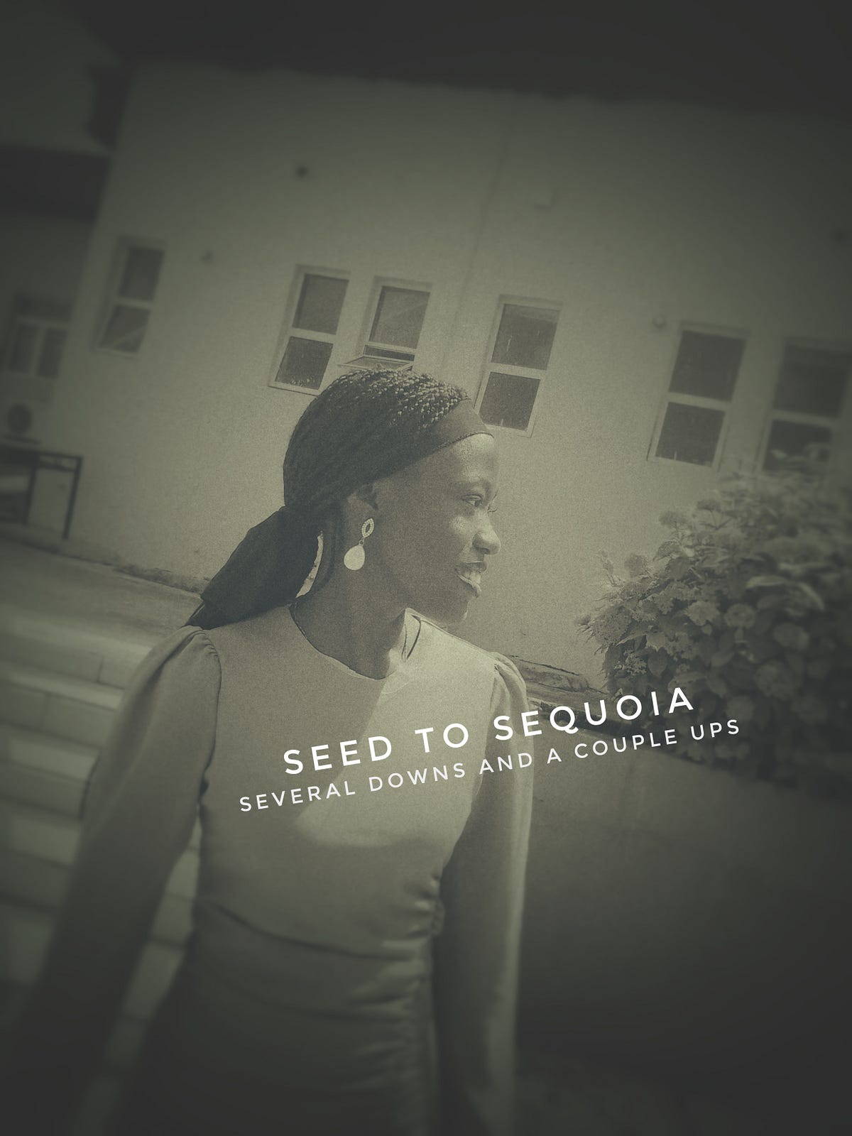 SEED TO SEQUOIA. Several Down and a Couple Ups | by Eniola Ola | Medium