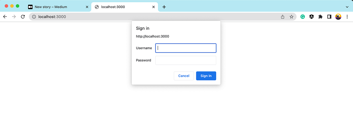 Next.js app dir and Route handlers http basic auth | by Rajdeep Das | Medium