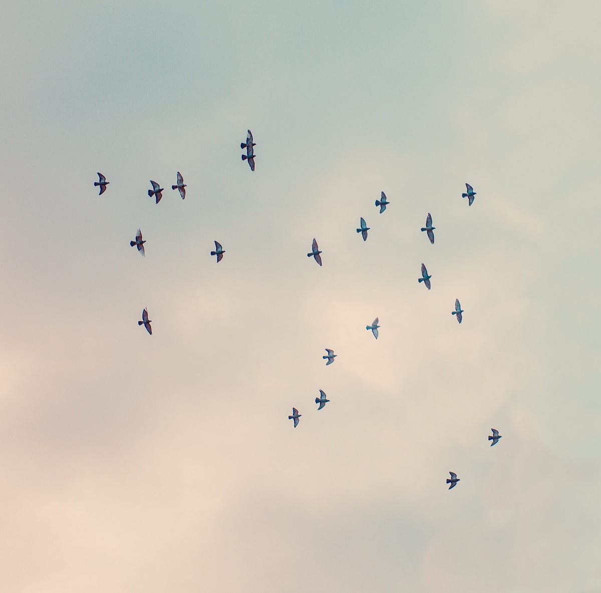 Life is a Common to a Miracle. Through that common feeling there’s ...