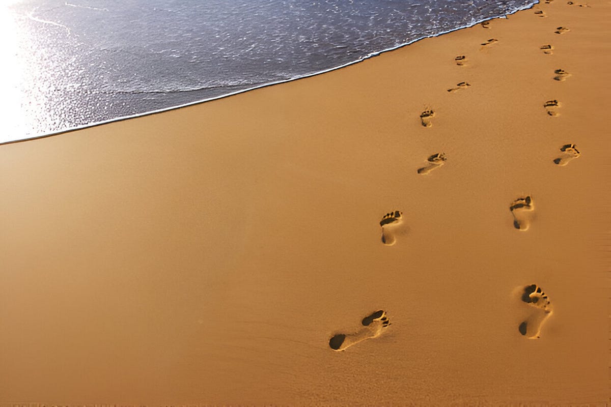 I Will Follow Your Footprints. For to this you were called, because ...