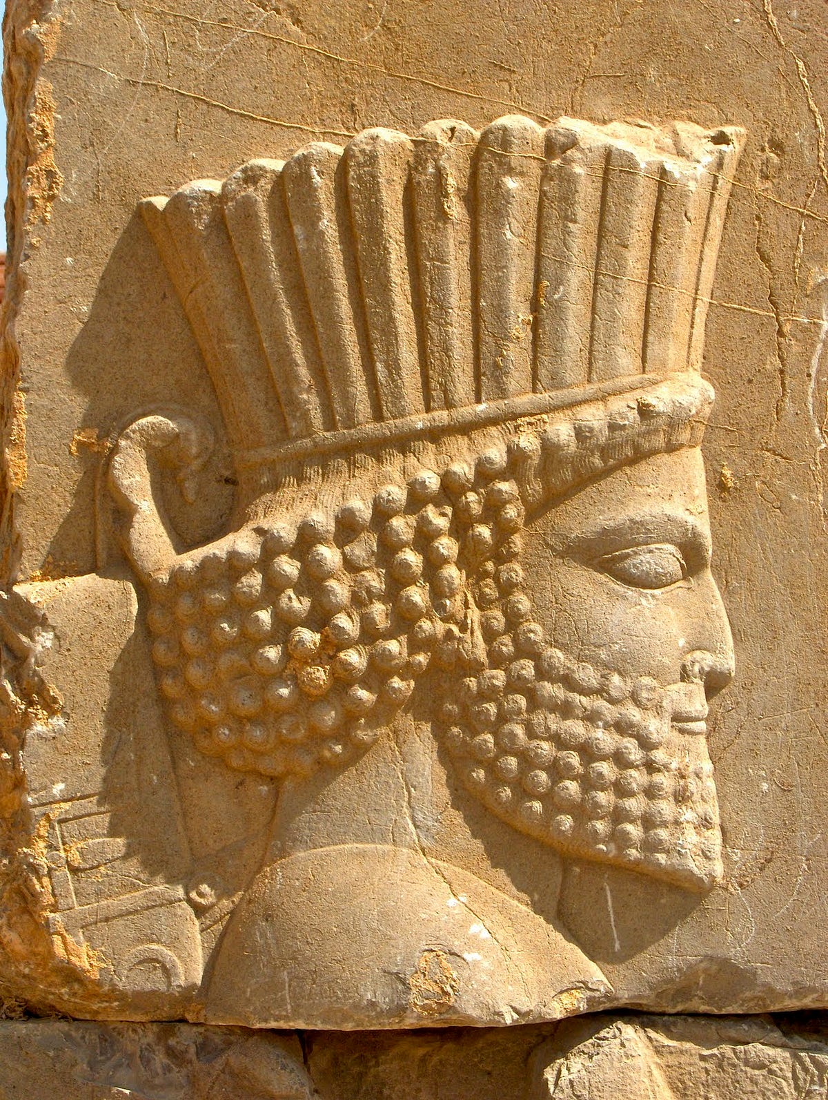 The ascension of Darius the great | by Omar Aalabou | Medium