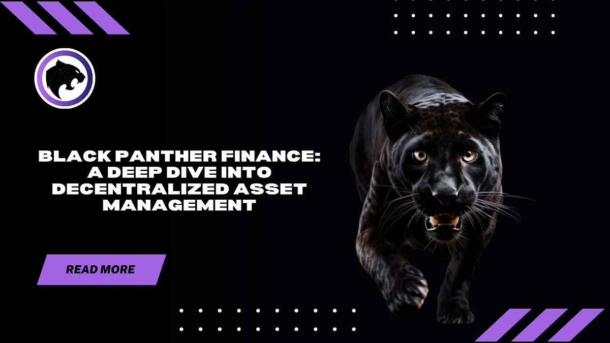 Black Panther Finance: A Pioneer in Decentralized Asset Management | by ...