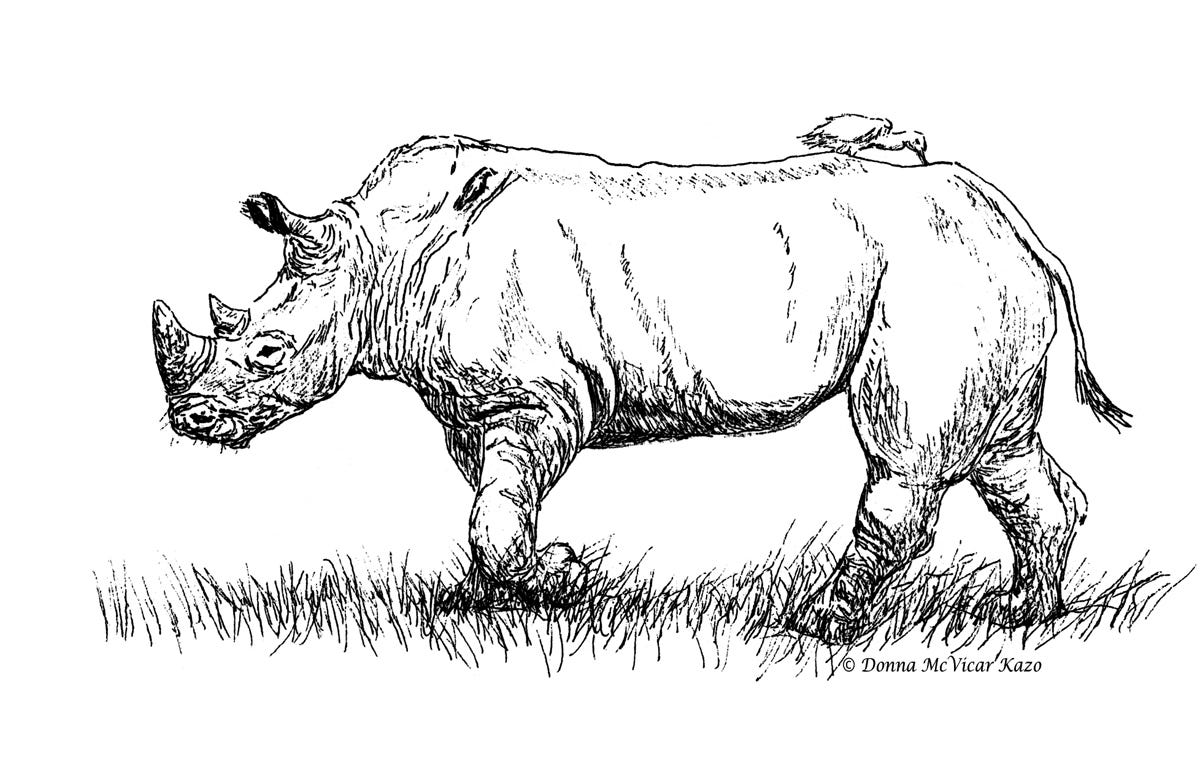 “Rhino With Passenger”. Day 26 of my yearlong artwork… | by DonnaKazo | Jan, 2025 | Medium