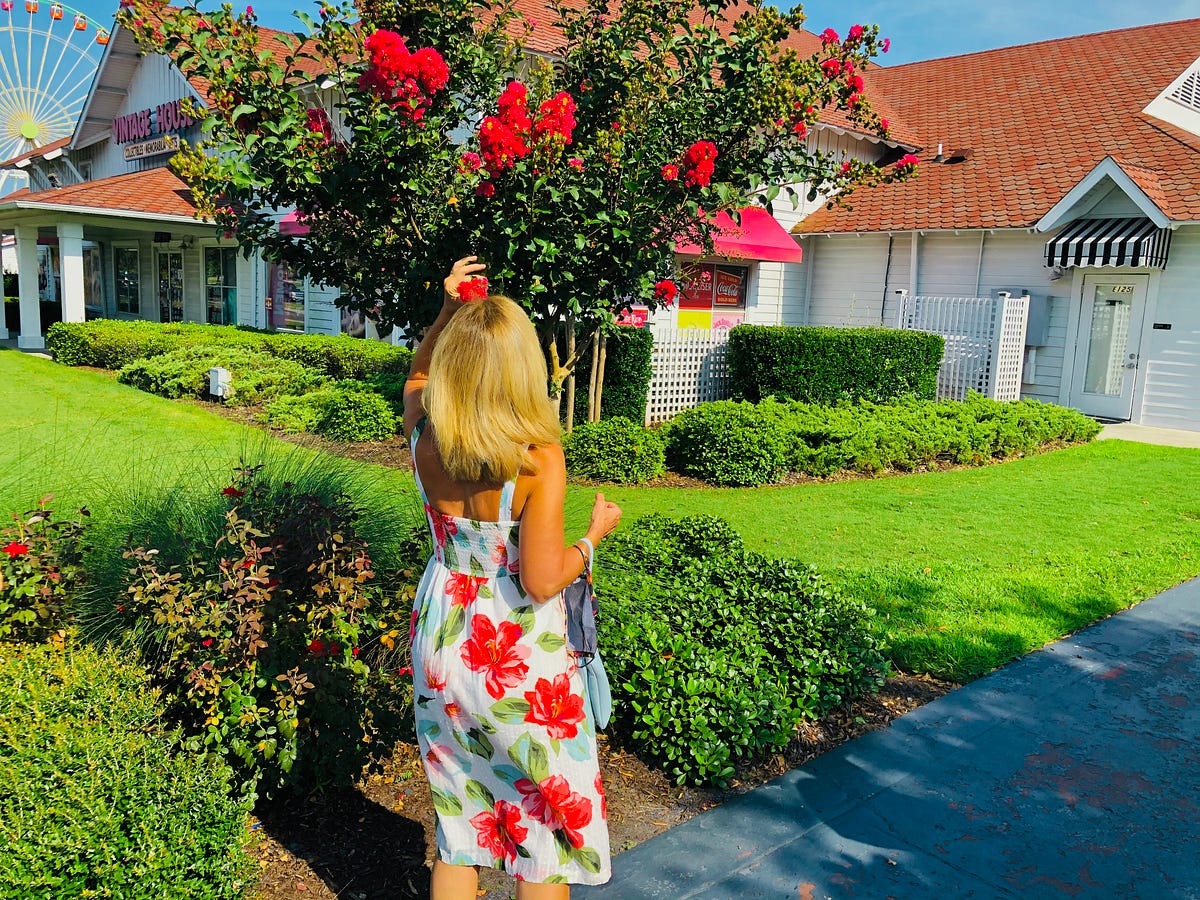 Happily Ever After? How to Feel “In the Club” Rich | by Joseph Serwach ...