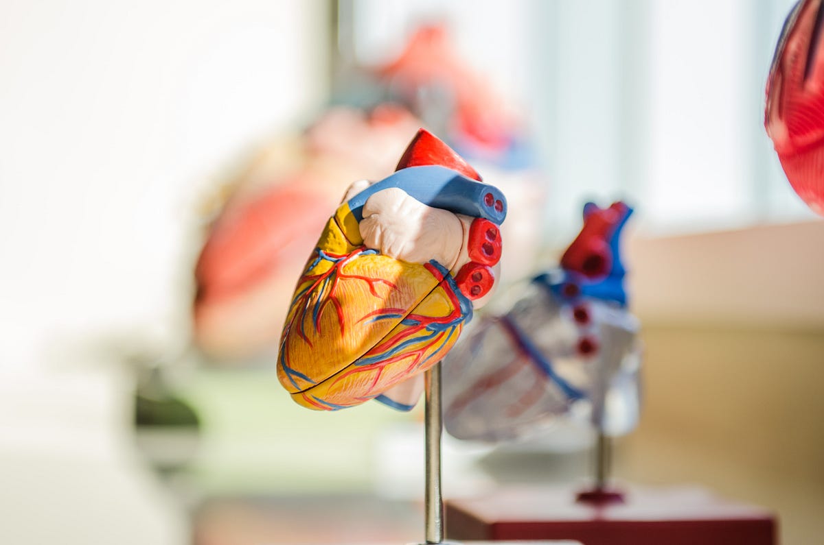 GAN for Medical Imaging: Generating Images and Annotations | by Michael ...